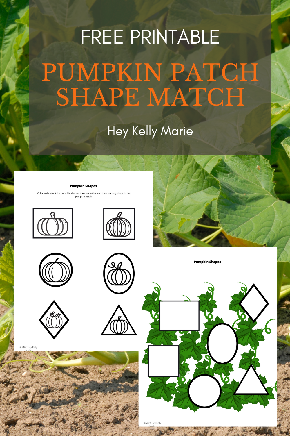 Pumpkin Shape Matching Free, Printable Activity